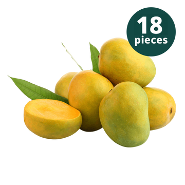 Your favorite Indian online grocery store in Netherlands – Jamoona
