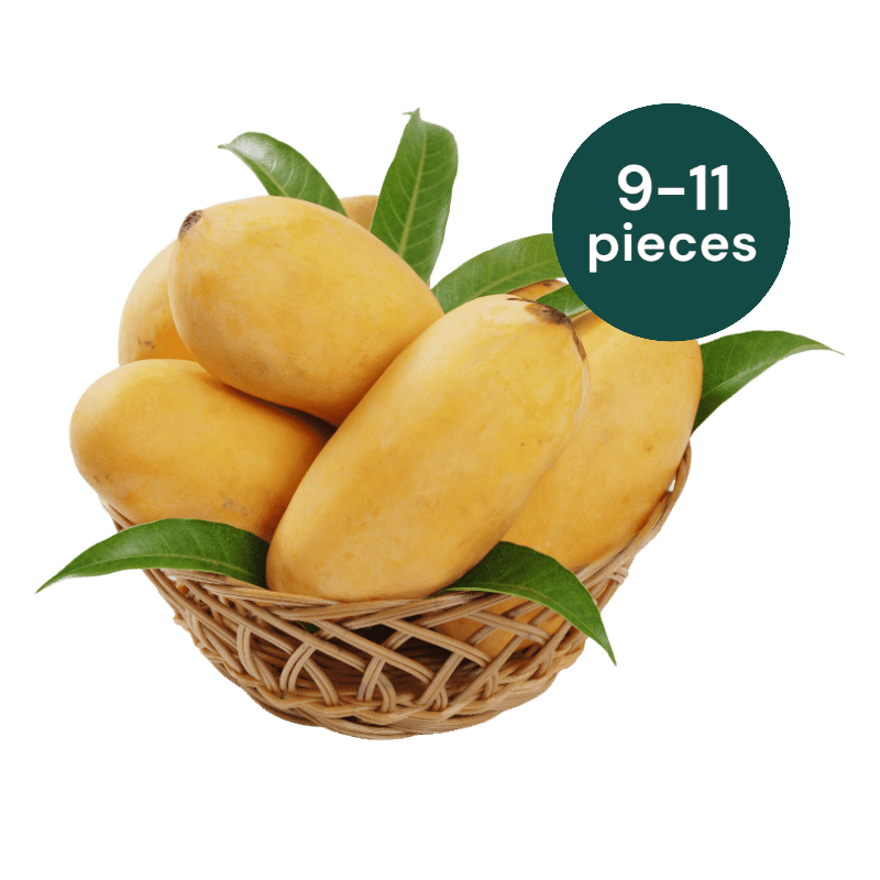 Season Ended - Fresh 9 to 11 Mango Pakistani (Sindhri) | Back in May 2 ...